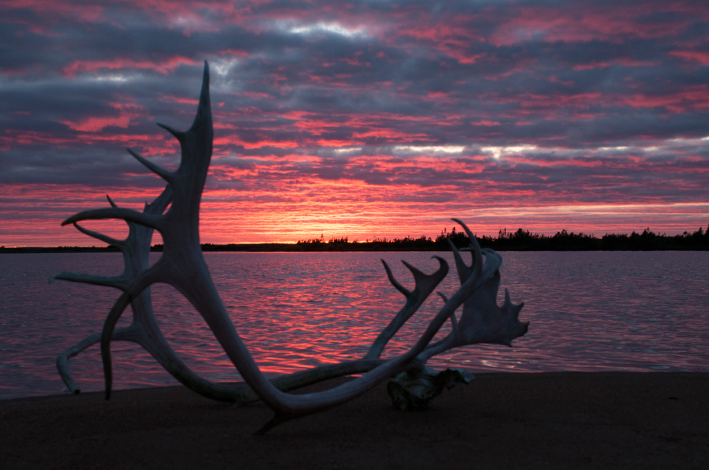 Webber’s Lodges/Henik Lake Adventures 2017 Show Schedule